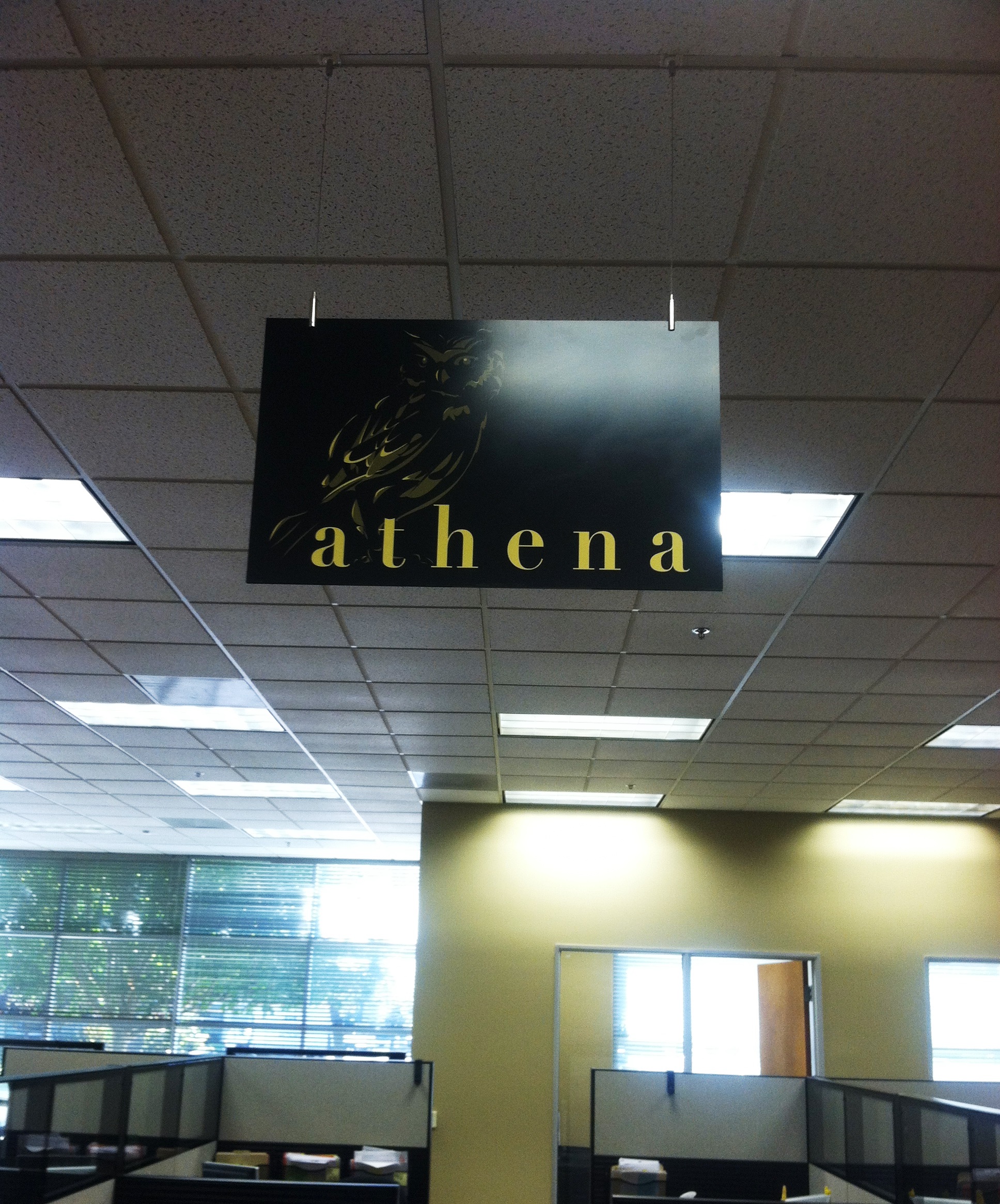 Understanding Area Hanging Signs: Purpose & Importance | eSigns Unlimited