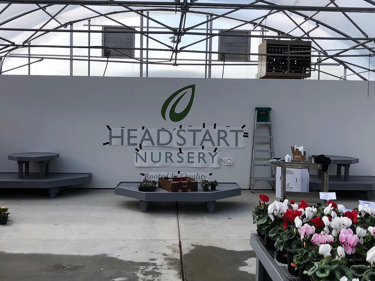 Wall Graphics - Headstart Nursery