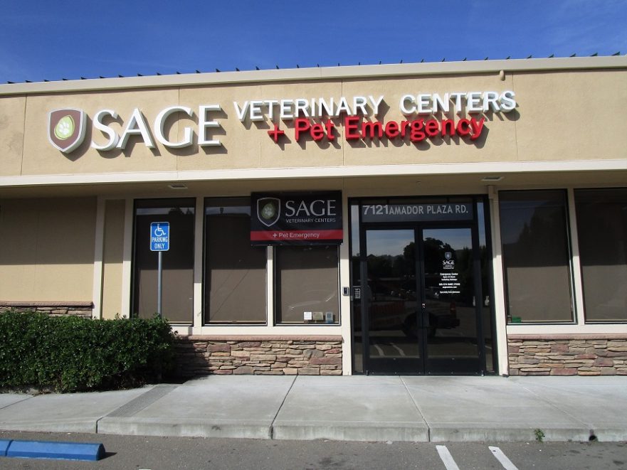 New Illuminated Letters and Logo - Sage Veterinary